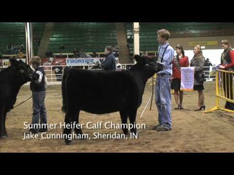 Junior Angus Show - National Western Stock Show