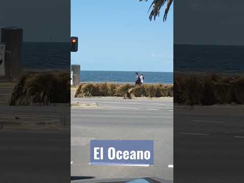 How to say THE OCEAN in SPANISH #shorts #spanish #learnspanish