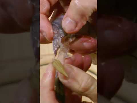 How To Peel And Devein Shrimp Like Gordon Ramsay | Food Club