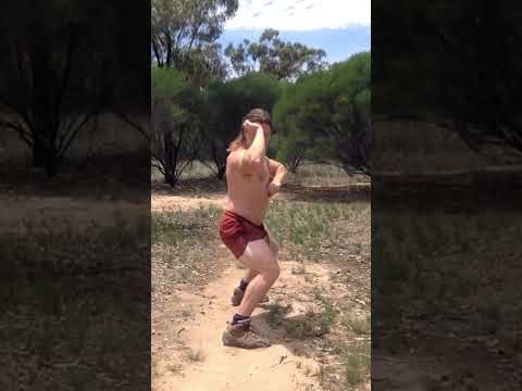 Bajiquan training various techniques.