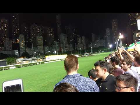 【香港賽馬現場直擊】最新精彩賽事全紀錄|馬場熱血時刻