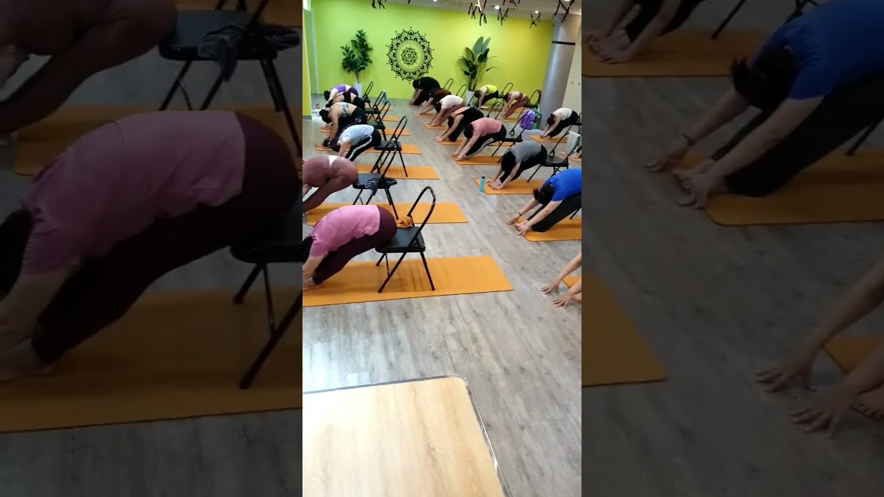 Chair Yoga for All: Gentle Flow for Seniors, Beginners, and Office
