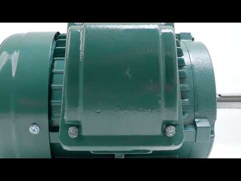LAM IEEE 45 Marine Duty Motor | WorldWide Electric Corporation