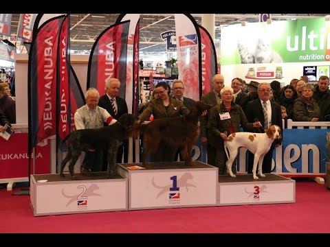 Groupe VII CGA 2015 1ere Partie