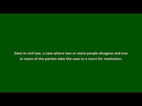 what is the meaning of lawsuit