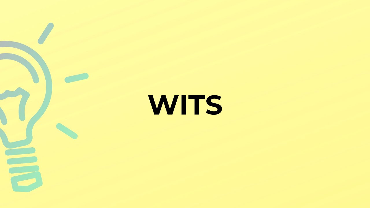 What is the meaning of the word WITS?