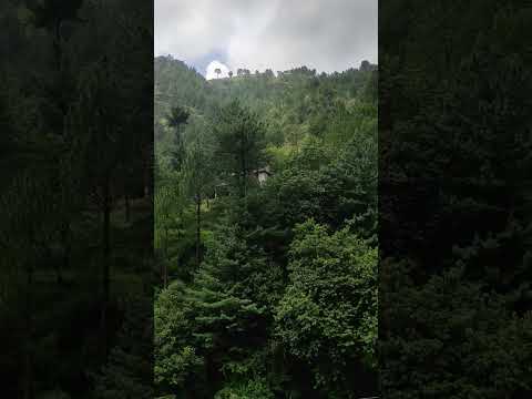 Beautiful mountains and valleys in Pakistan #nature #narankagan #kumratvalley #travel #altitfort