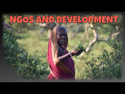 Ngos and Development