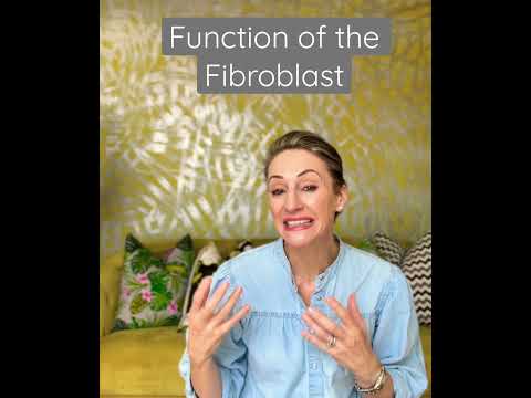 Function of the Fibroblast #retinolskincare #retinoids101 #retinacream #tretinoin #fibroblast