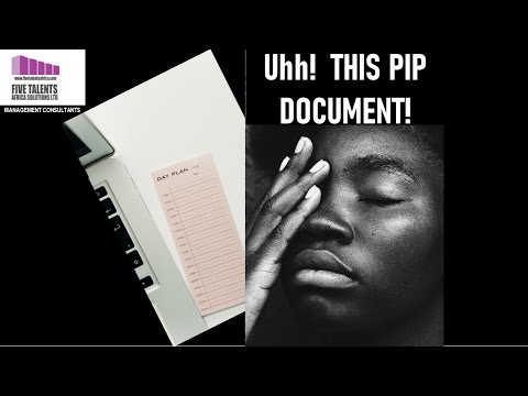 What is found in a Performance Improvement Plan (PIP) Document?