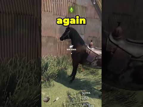 Stealing from a Rust Reddit Admin