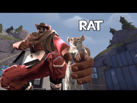 Steam Community :: Video :: [SFM] Demoman Rat Dance
