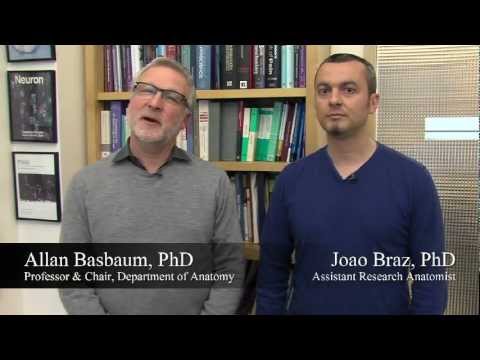 A New Strategy for Treating Neuropathic Pain