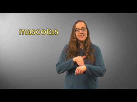 Basic Signs for Caregivers-Family (Spanish)/Señas Basicas para Cuidadores-Familia