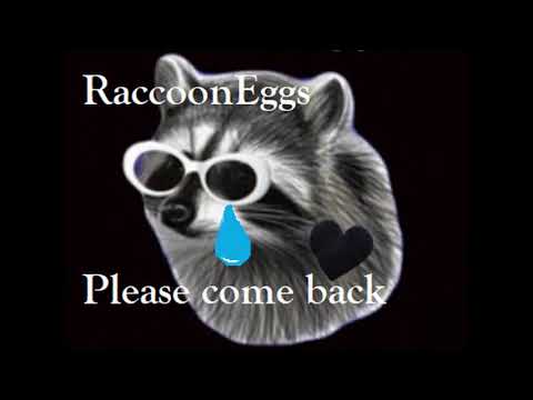 RaccoonEggs Words That Rhyme With Raccoon Part Two