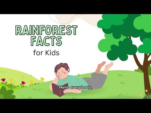 Rainforest Facts for Kids | Learn All About the Amazon & More!