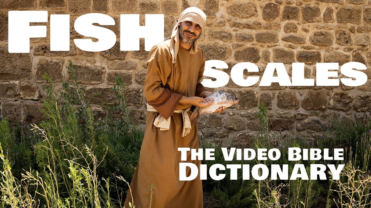 Fish Scales - The Video Bible Dictionary