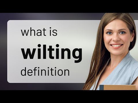 Wilting | WILTING meaning