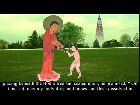 The meaning of Saga Dawa taught by H.E Sangay Dorji Rinpoche with English subtitle.