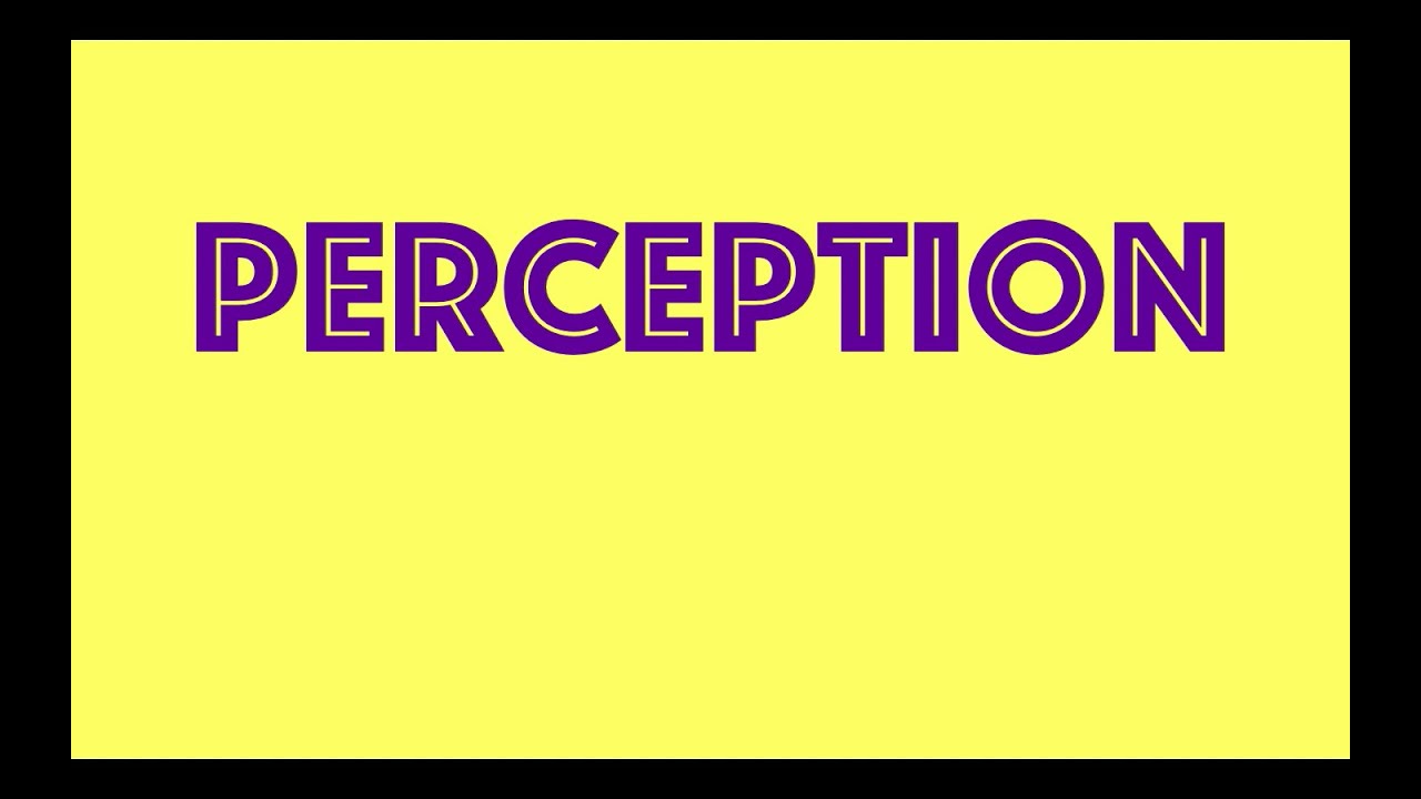 Perception | Definition | Factors | Process | Organisational Behaviour