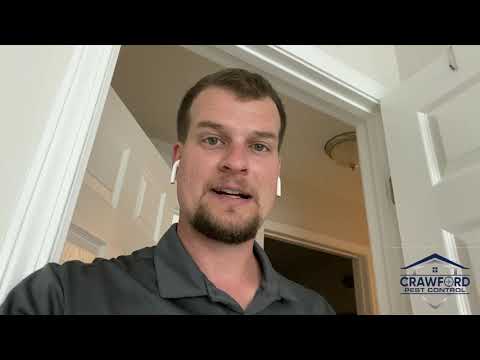 Bed Bug Preparation and Treatment