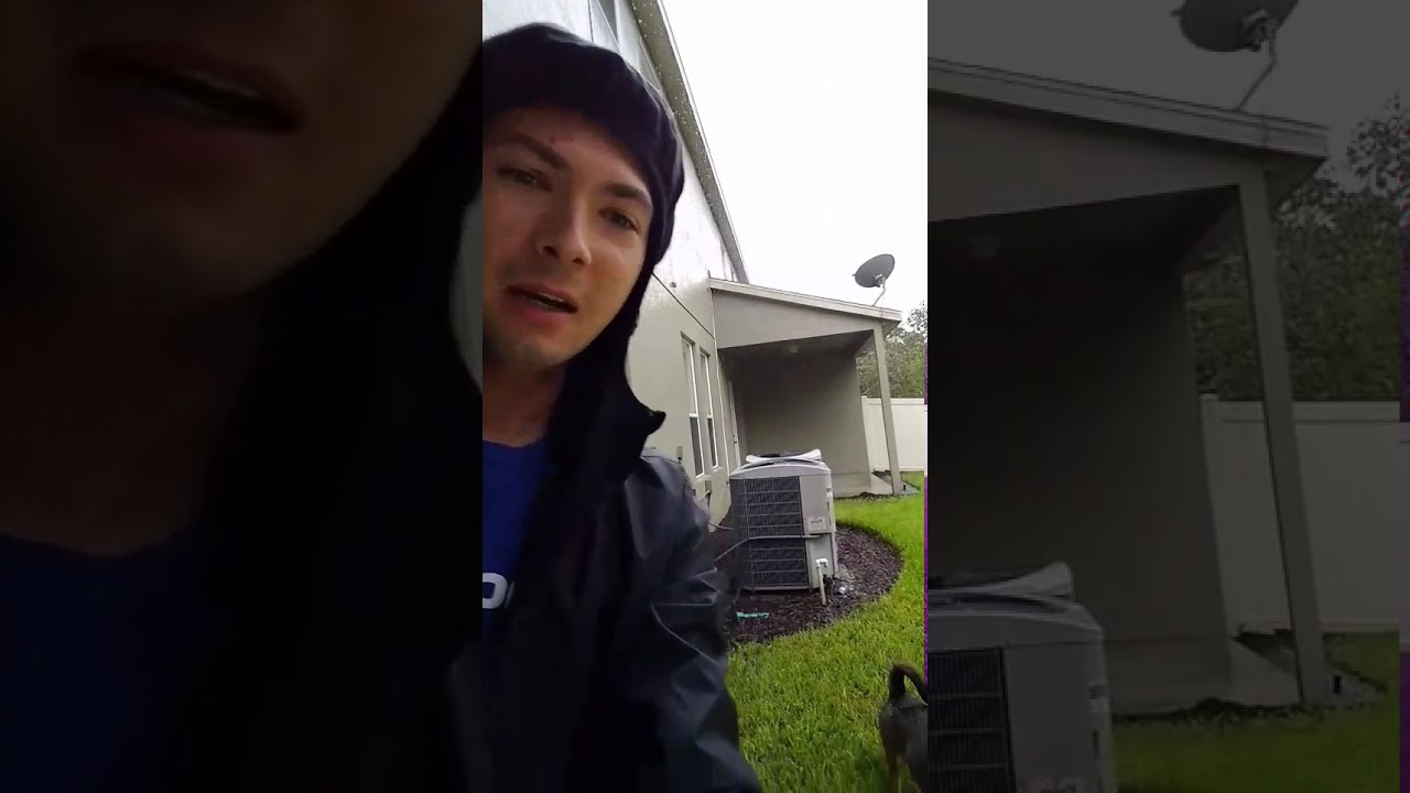 Hurricane Irma - Potty Break