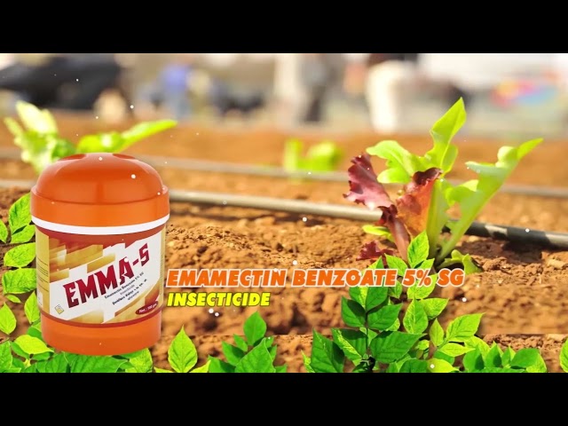 Plant Growth Promoter - P G R Product Trader - Wholesaler / Distributor ...