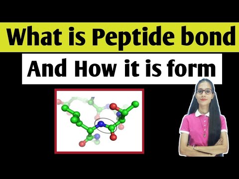Peptide bond and its formation -- #Biology #apnasapnajrf Video Lecture ...