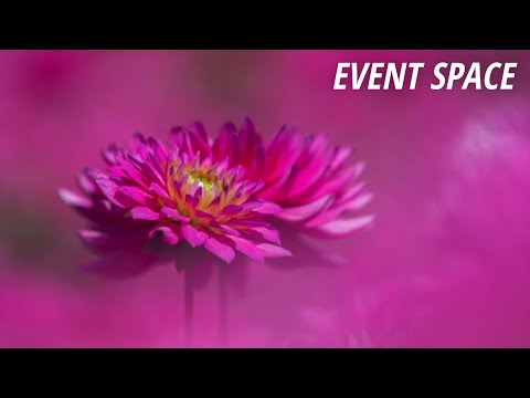 How to Be Creative in Your Flower Photography | B&H Event Space