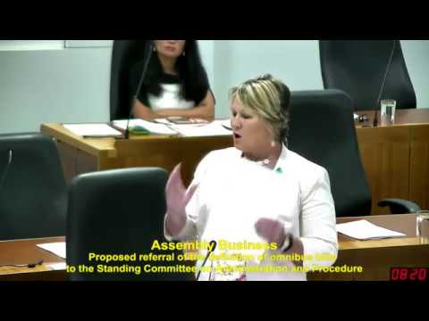 Referal of the definition of omnibus bills to the Administration and Procedure
