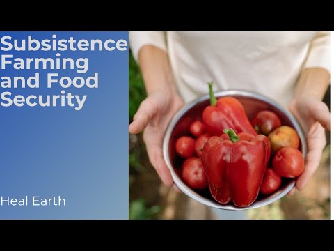 Subsistence Farming and Food Security