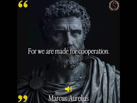 For we are made for cooperation Marcus Aurelius #quotes #dailystoic #stoicism #marcusaurelius #stoic