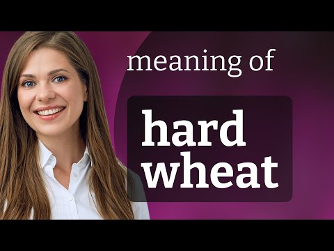 Hard wheat — HARD WHEAT definition