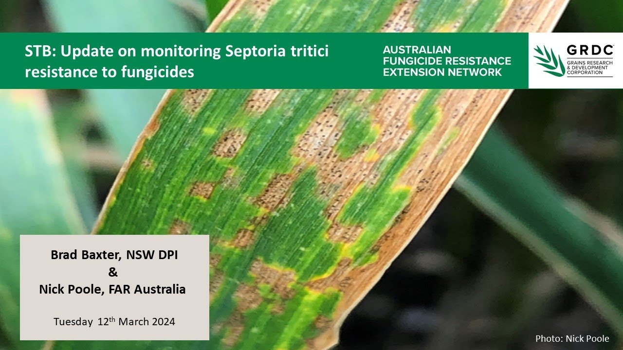 AFREN Fungicide Resistance Update Webinar - Septoria Tritici blotch