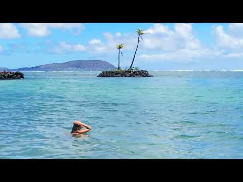 Hawaii dreaming🌺