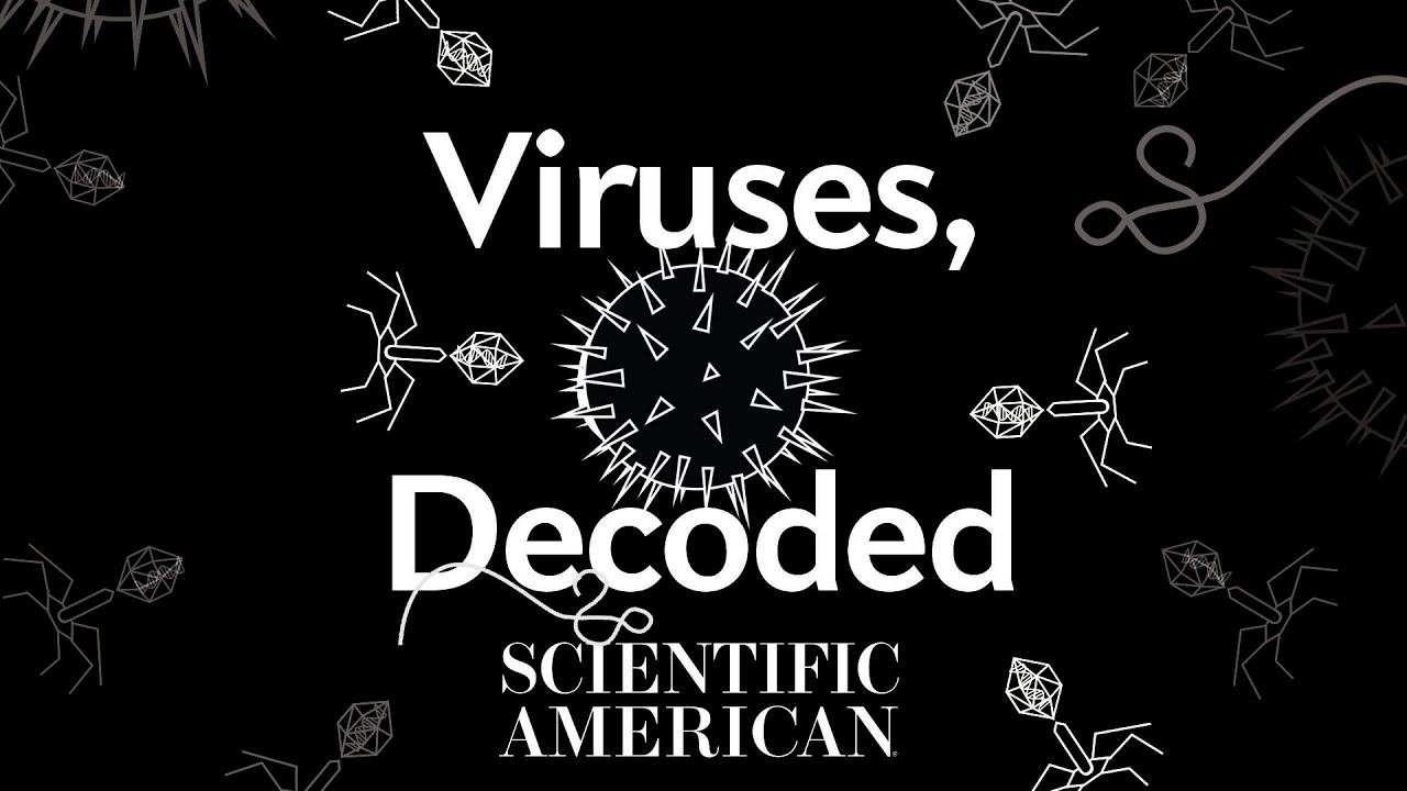 Decoded: How much do you really know about viruses?