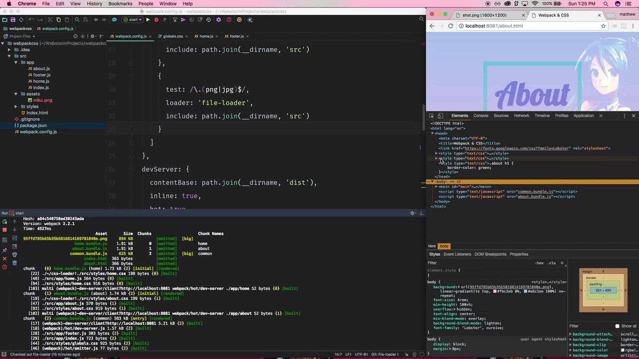 Webpack & CSS - 5. Resolving assets with file-loader