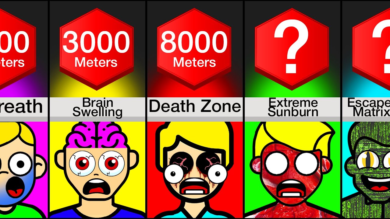 Comparison: Your Body At Different Altitude Levels
