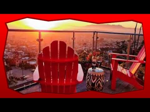 WILD PARROTS AND OCEAN VIEW | SAN FRANCISCO AIRBNB