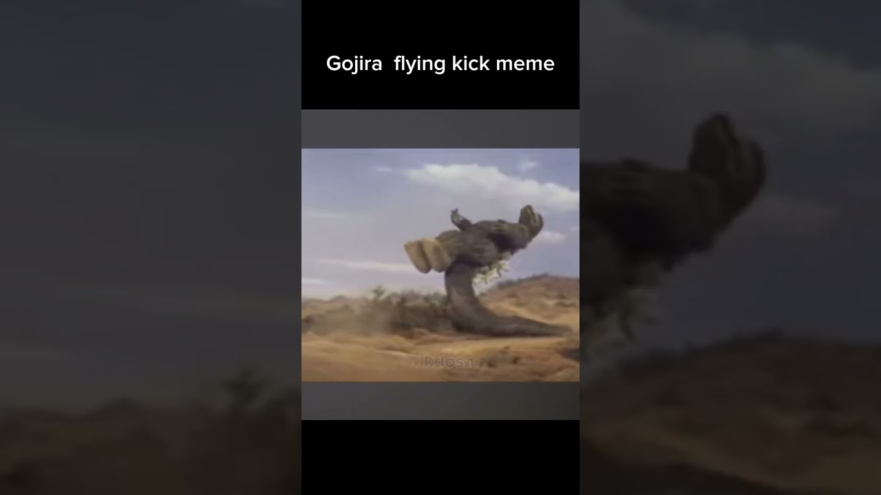 the godzilla flying kick meme#godzilla#memes#funny