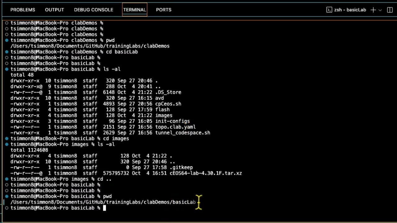 Upload Arista cEOS Image to Codespaces with GitHub CLI
