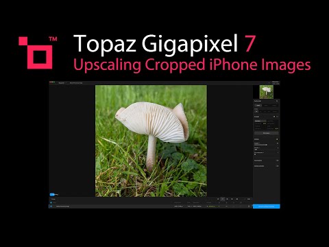 TOPAZ GIGAPIXEL 7: Upscale and Enhance Your Cropped iPhone Images with Precision