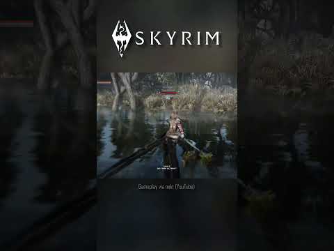 Skyrim Modded into a STUNNING different game 🤯