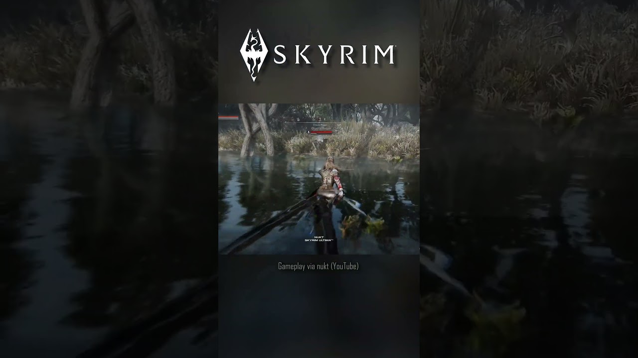 Skyrim Modded into a STUNNING different game 🤯