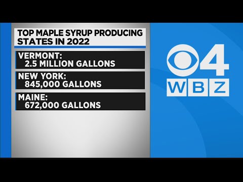 Vermont saw record maple syrup production in 2022