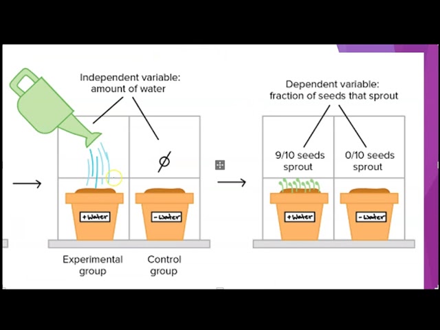 Understanding the Scientific Process in Biology | Galaxy