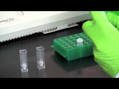 DNA Quantitation Using a Spectrophotometer