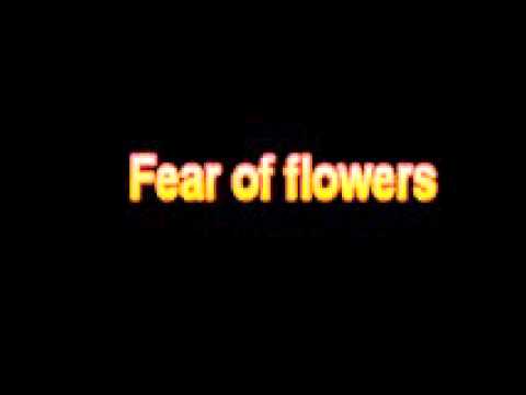 What Is The Definition Of Fear of flowers - Medical Dictionary Free Online