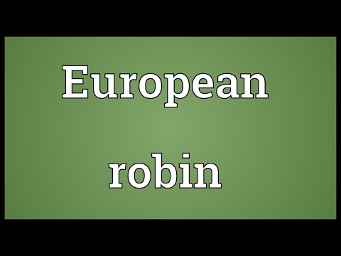 European robin Meaning