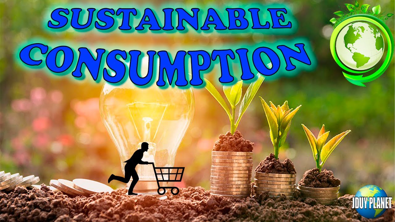 Good practices for sustainable consumption | JDUY PLANET (Part 2)